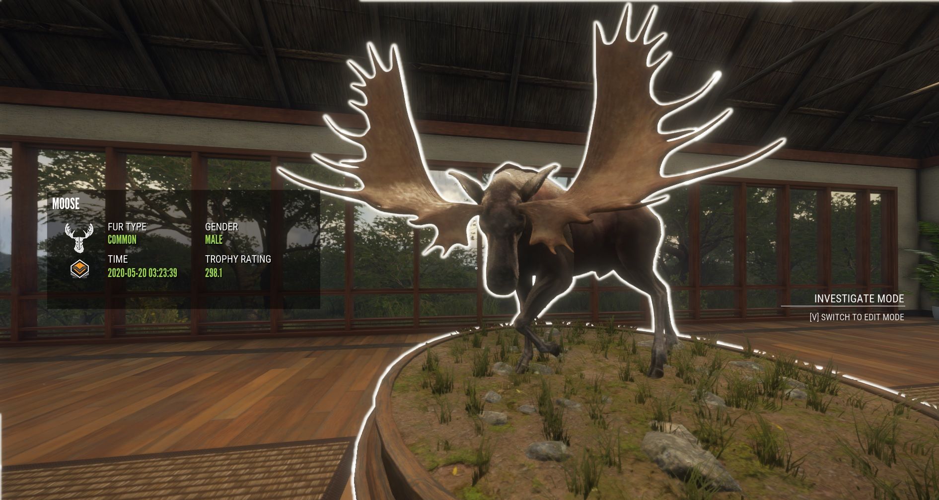 Diamond moose downed with the .338! | Scrolller