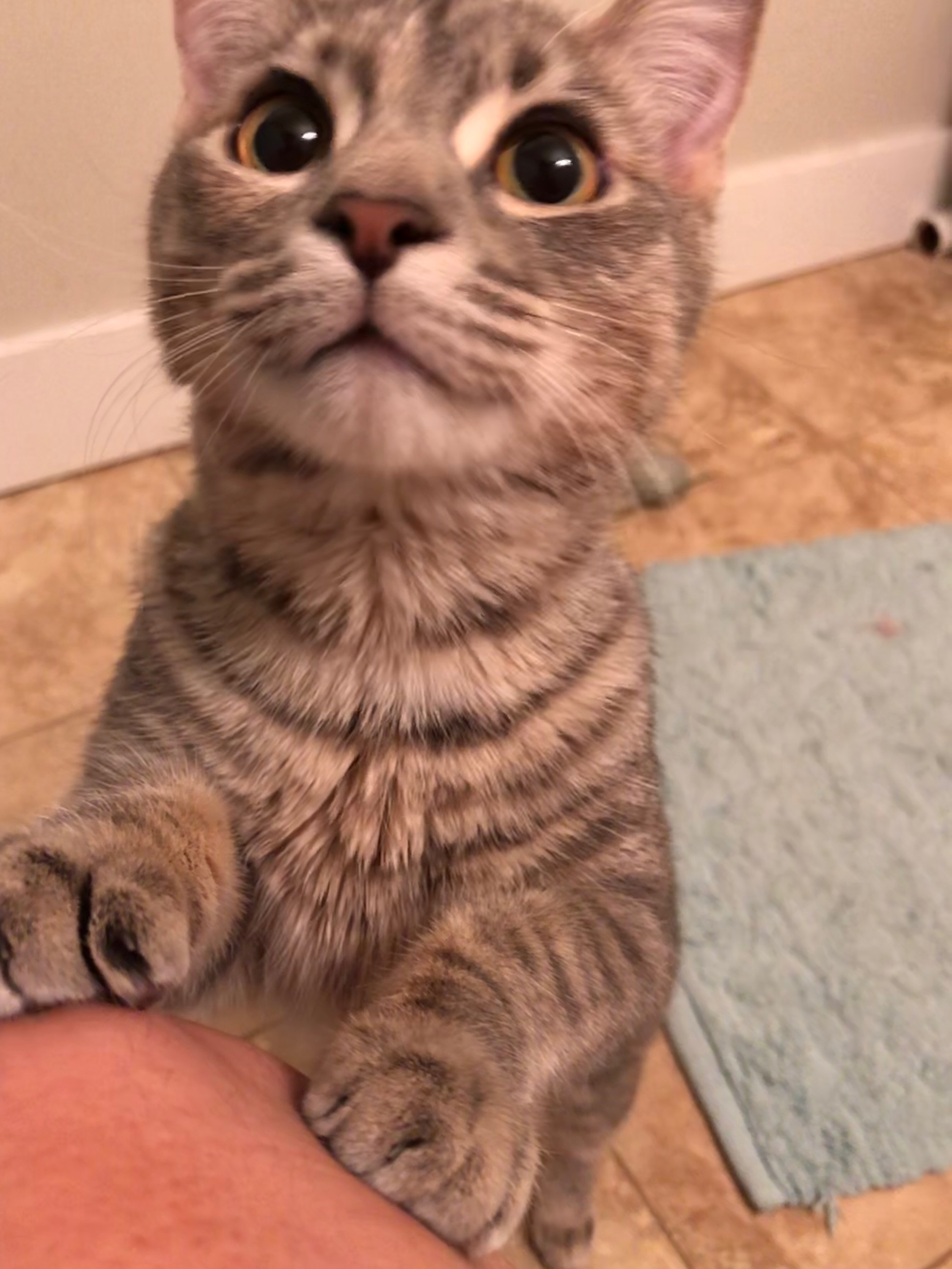 "Did you ever know that you're my hero!" | Scrolller