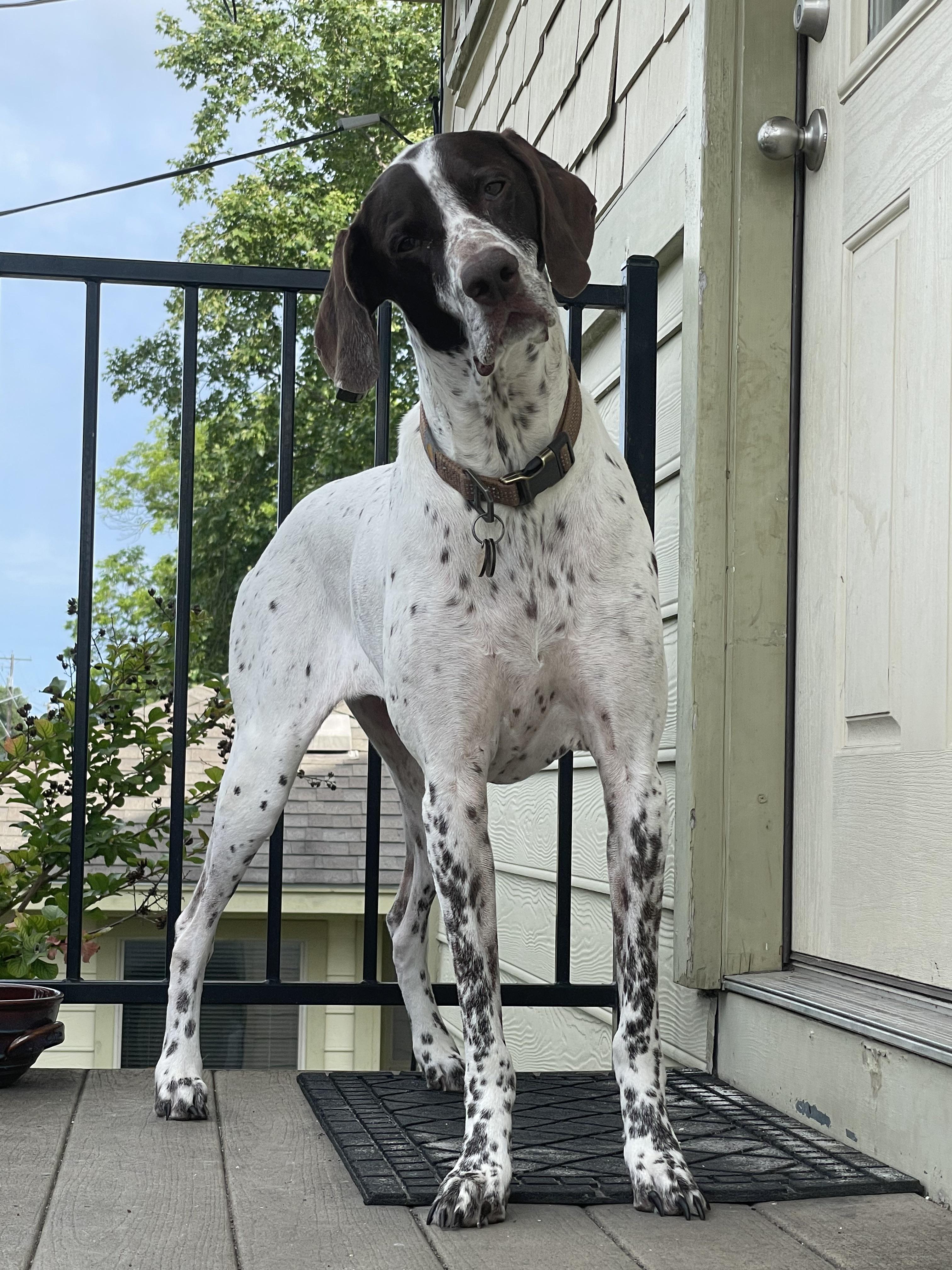 Did you say something??? | Scrolller