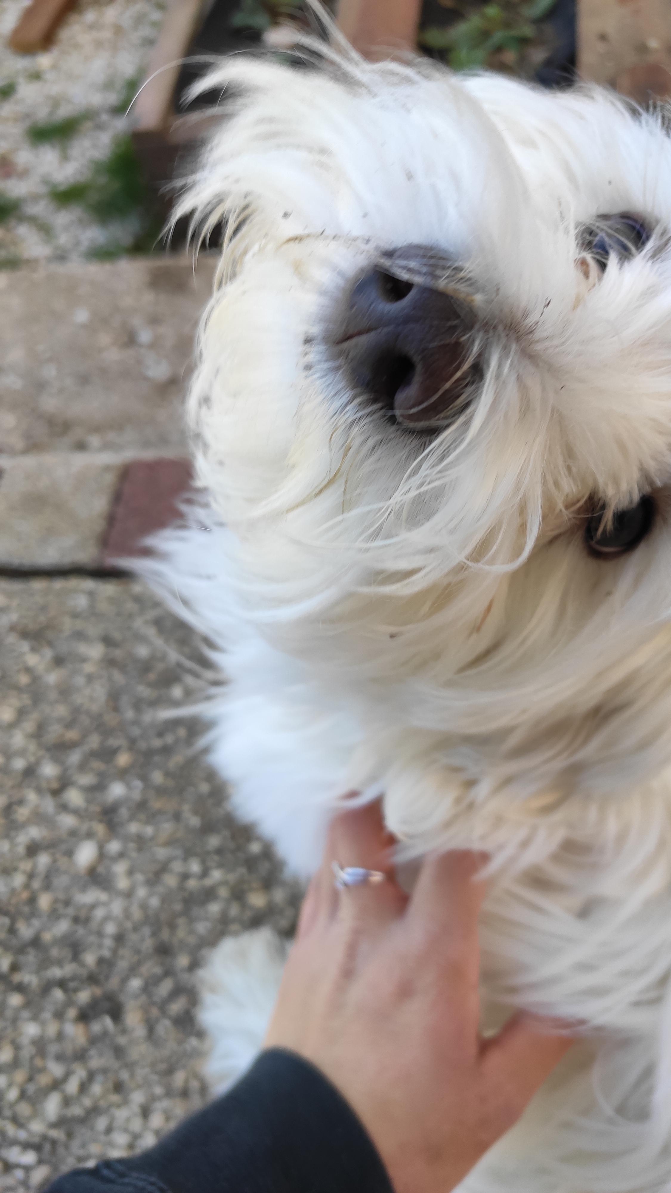 Did you say something human? | Scrolller