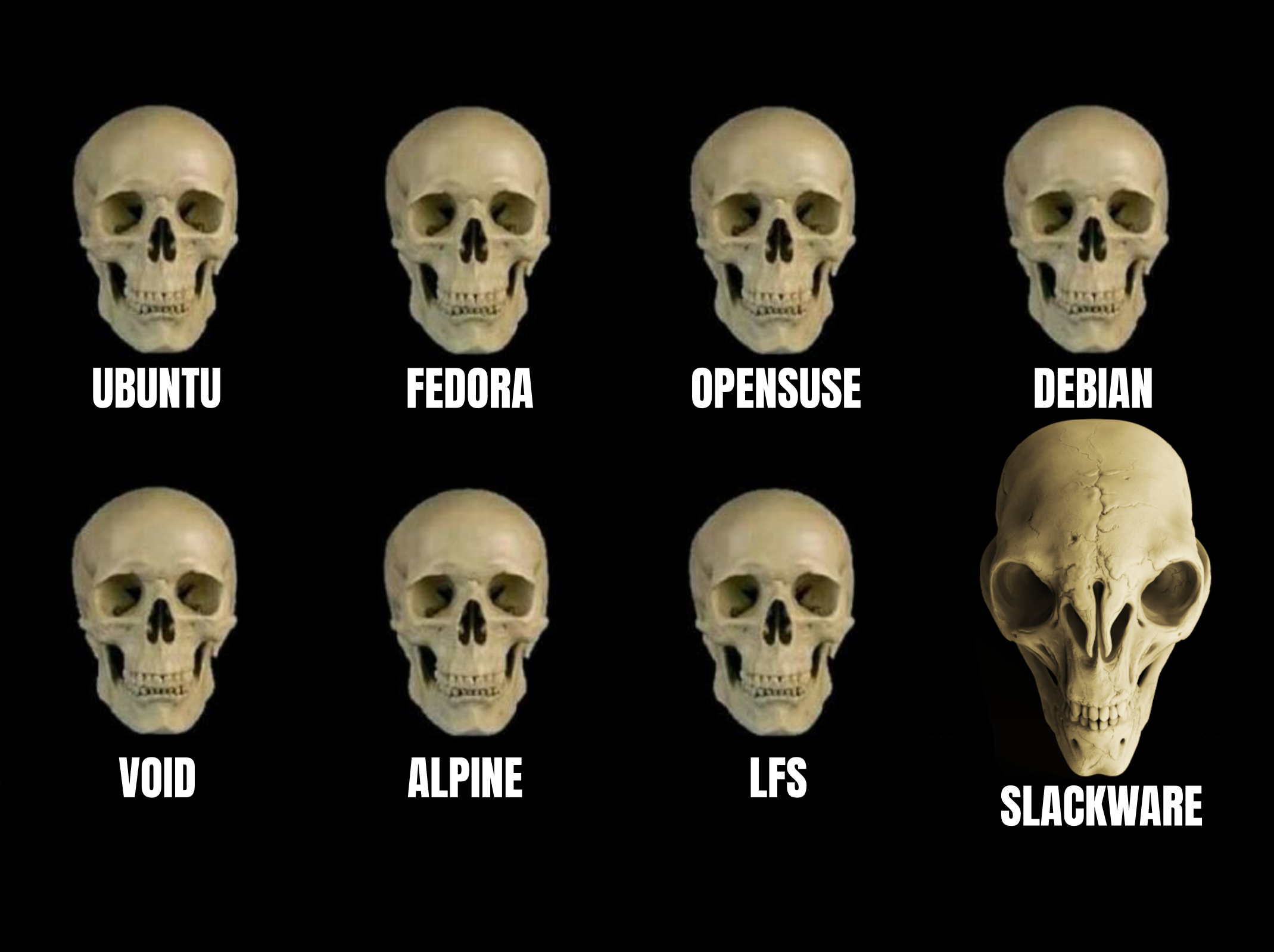 Different Breed | Scrolller