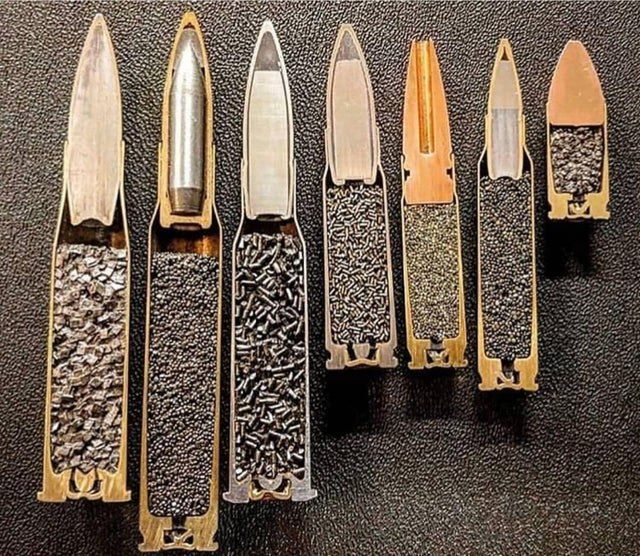 Different calibered bullets cut in half. | Scrolller