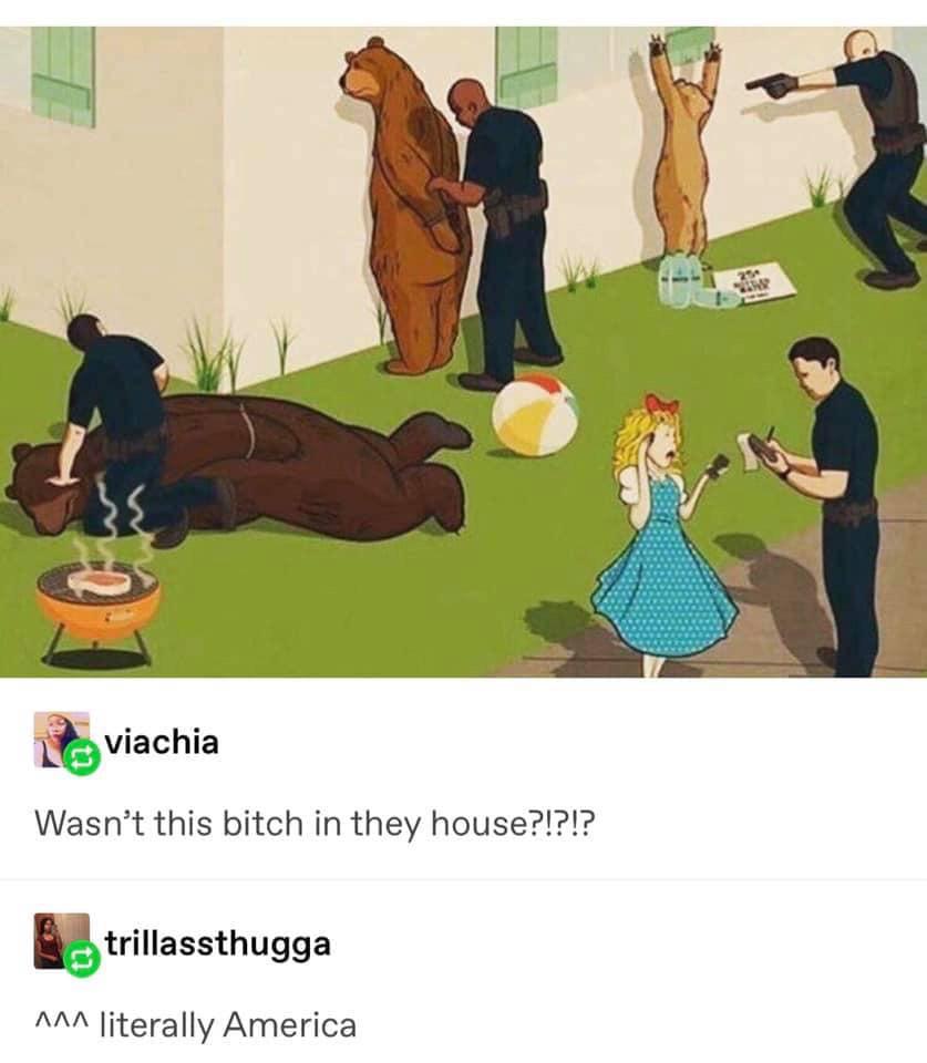 Different story with polar bears | Scrolller