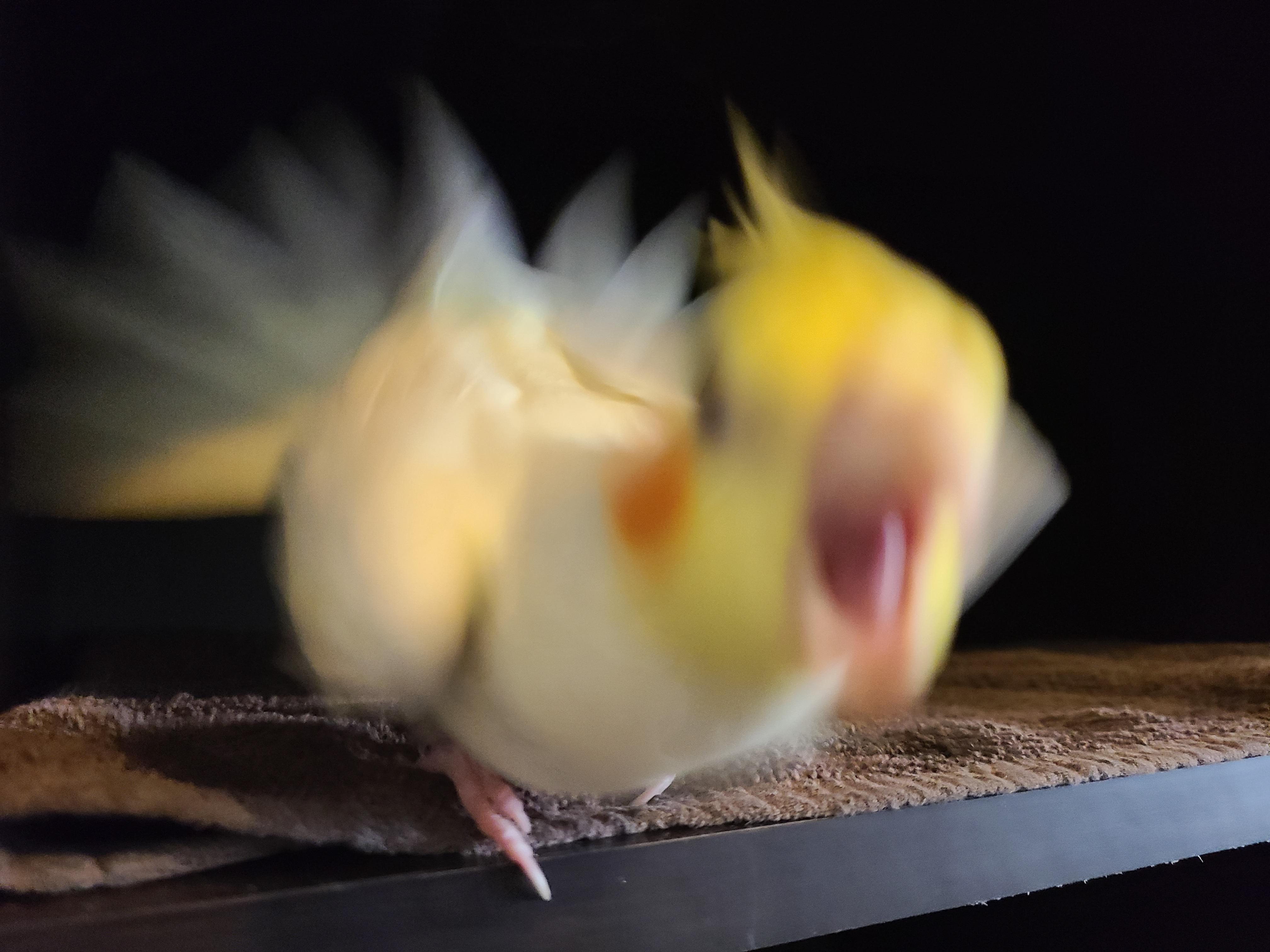 Dinosaur mode activate! | Scrolller