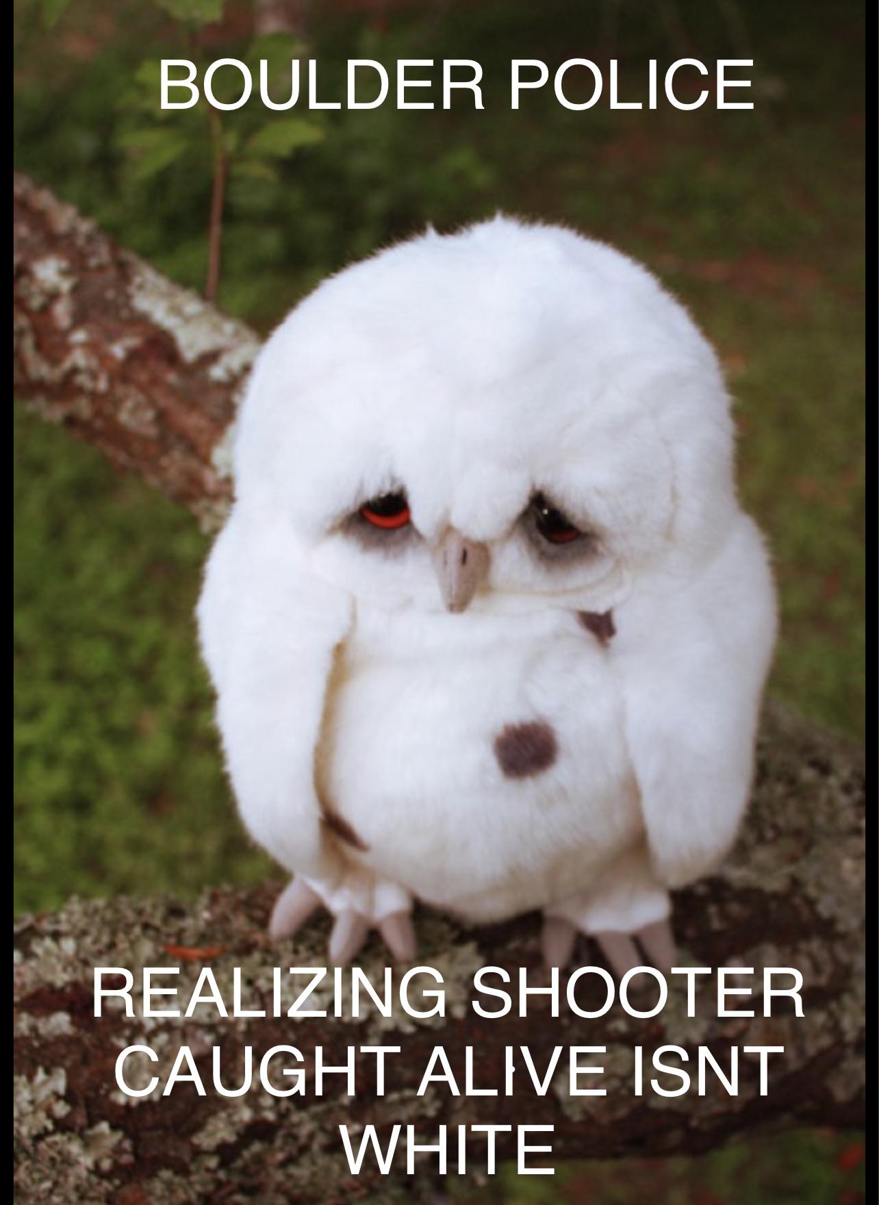 Disappointment | Scrolller