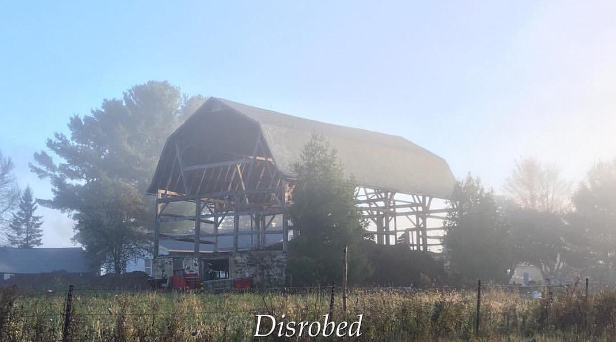 Disrobed [OC] | Scrolller