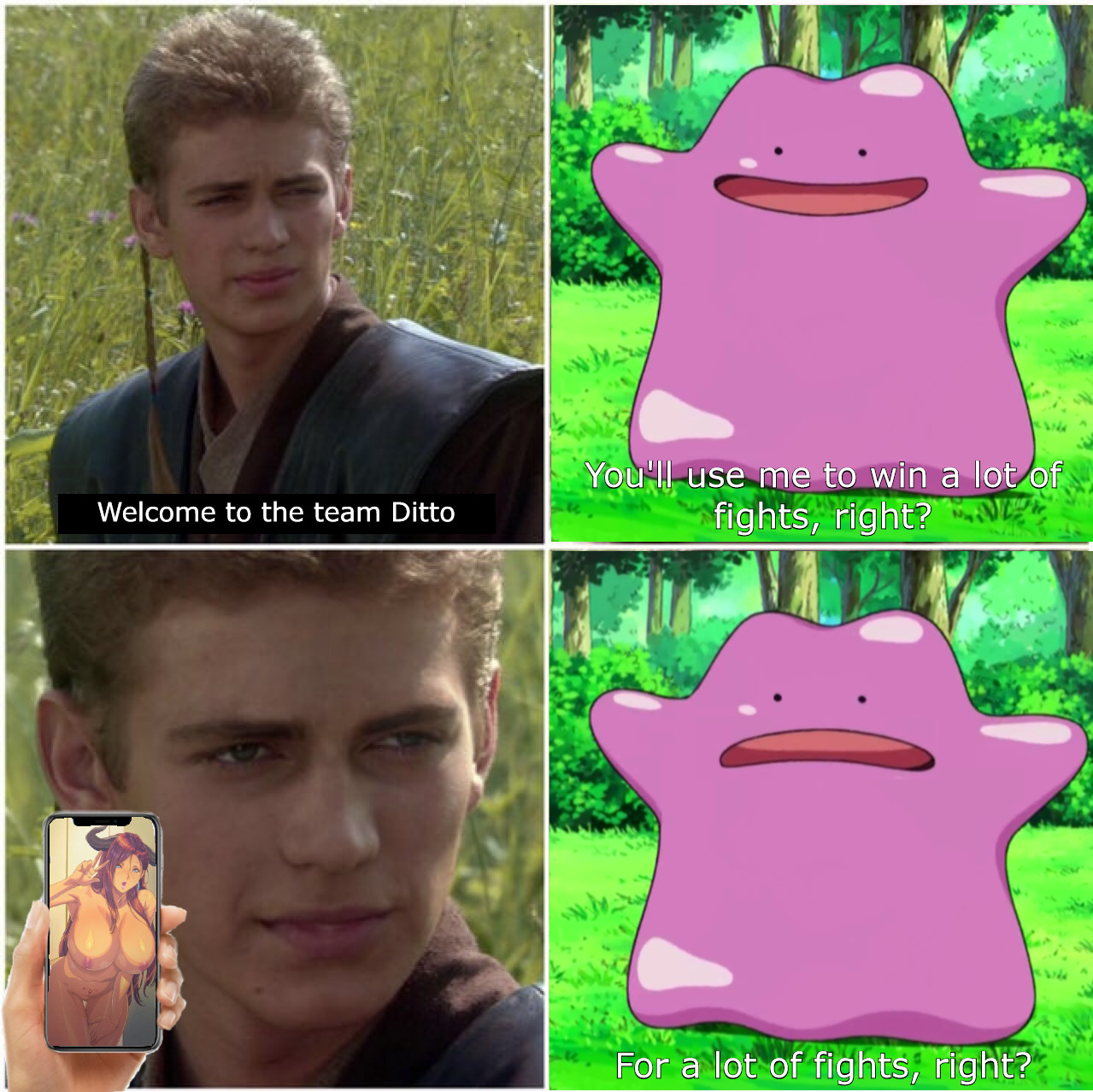 Ditto seems pretty reluctant to use Transform | Scrolller