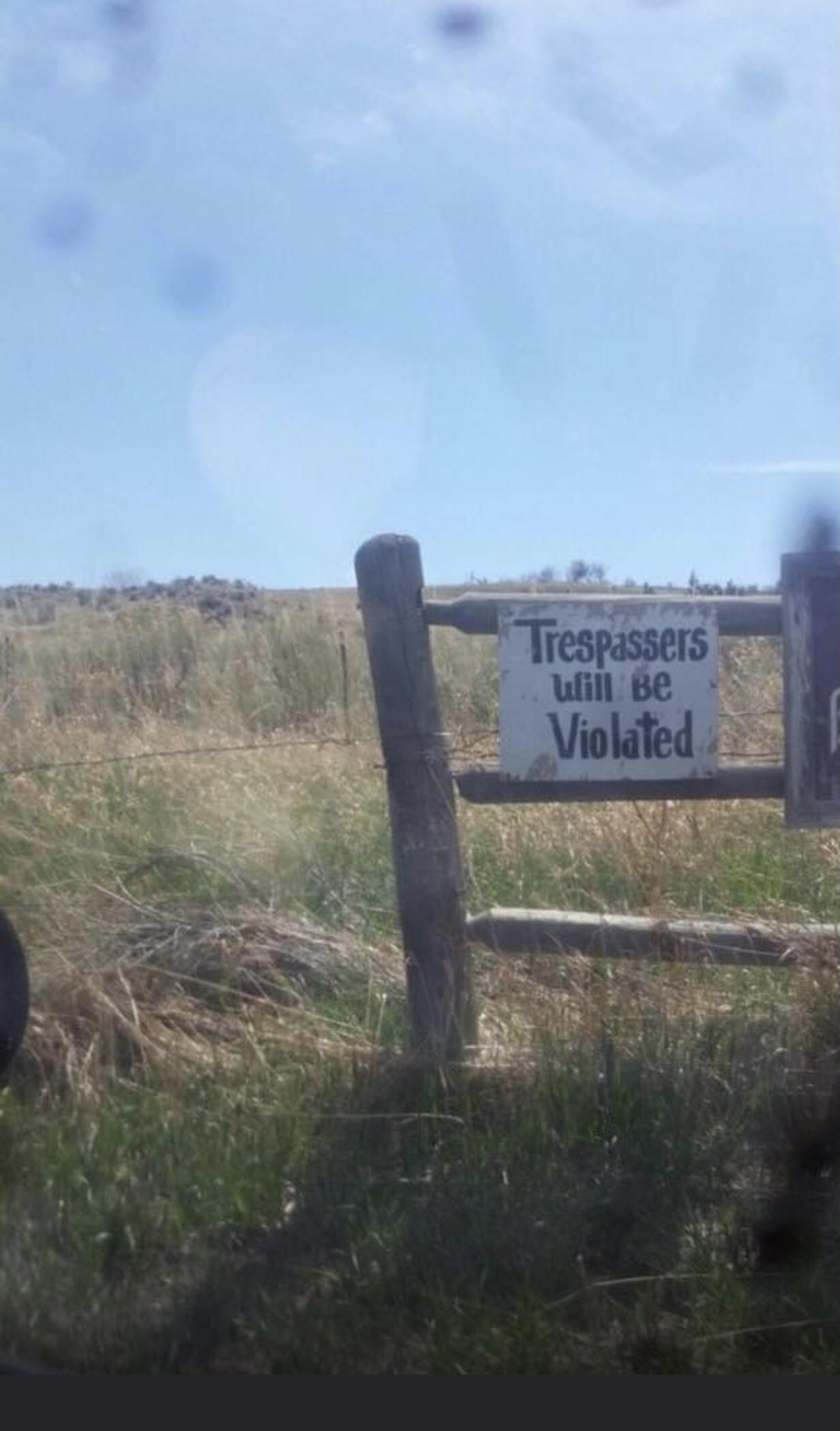 Do I dare? | Scrolller