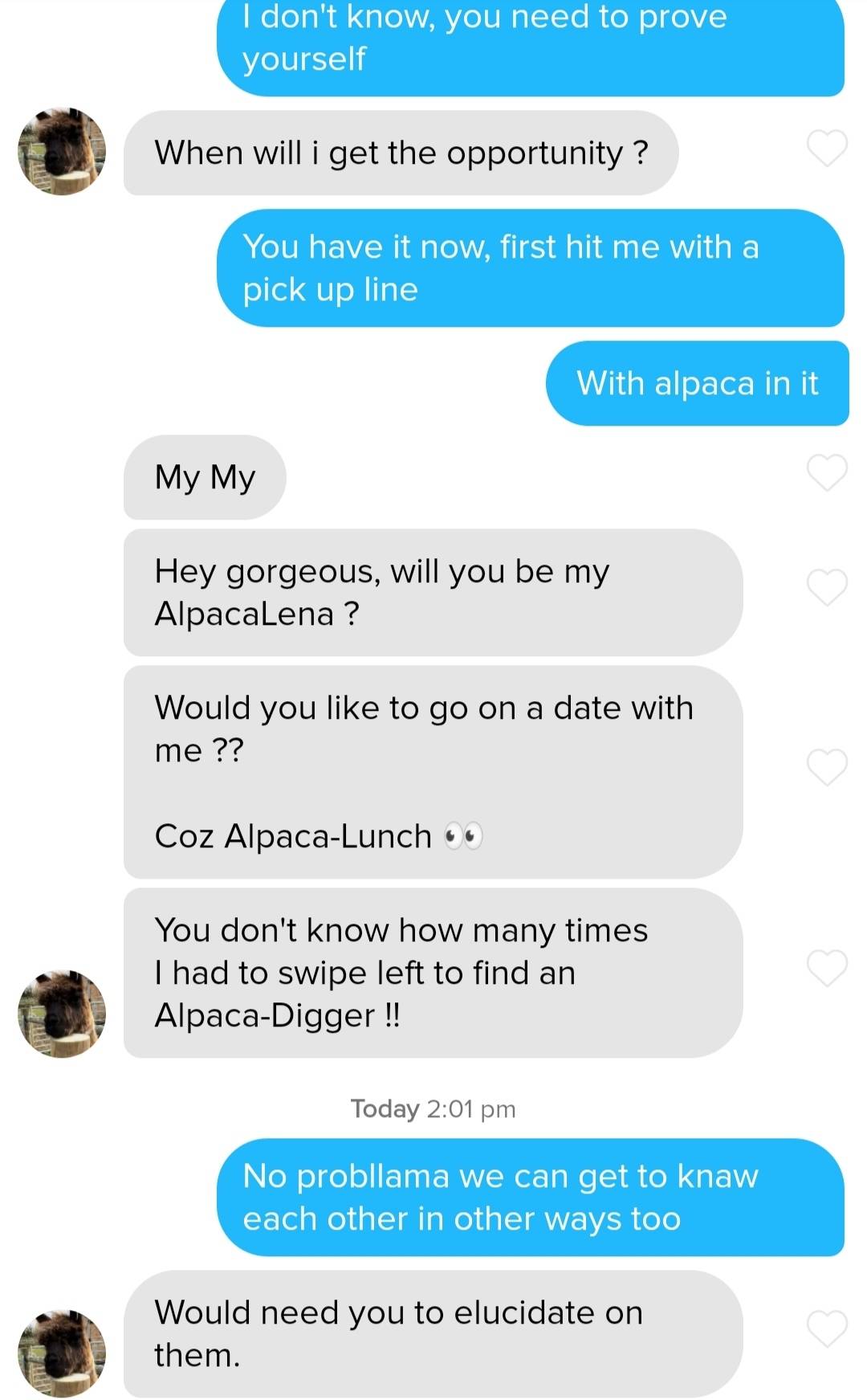 Do I date this Alpaca or not, need help🥺 | Scrolller