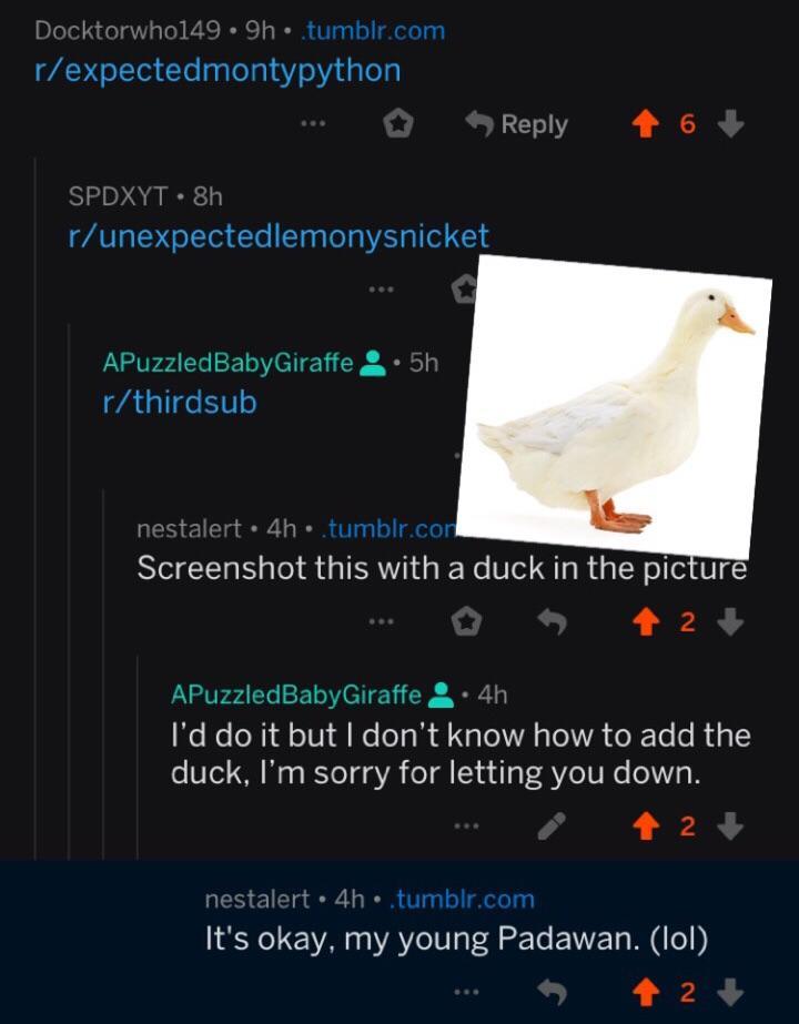 Do I get the rank of master? | Scrolller