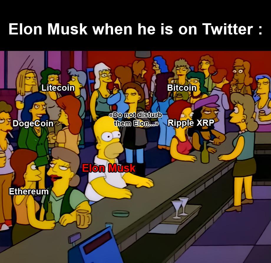 Do not disturb them, stay calm | Scrolller