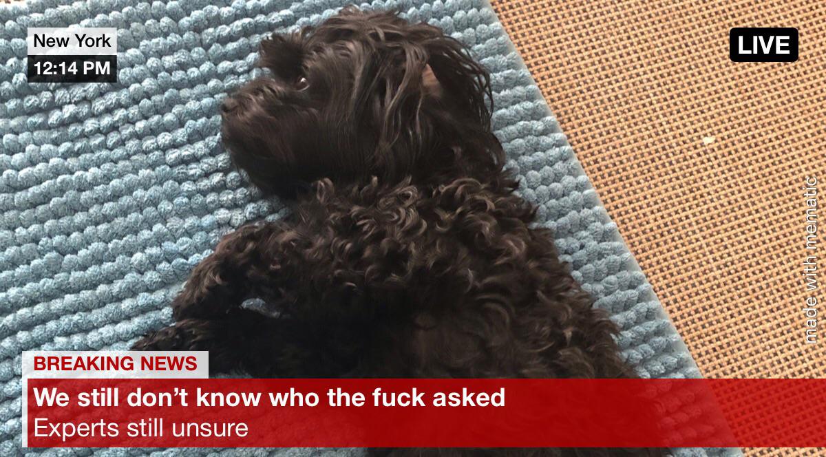 Do you know | Scrolller