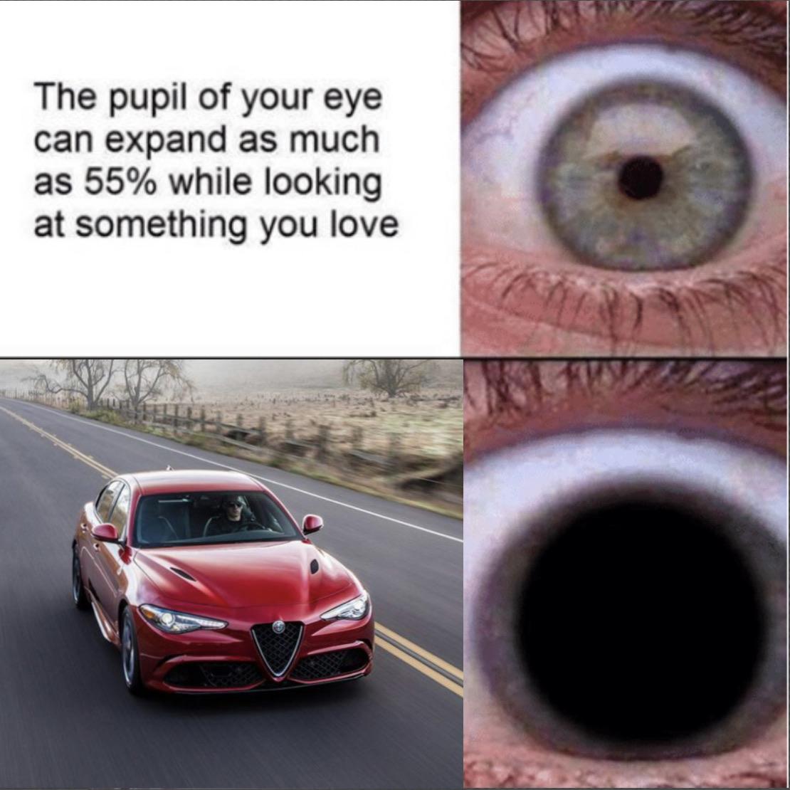 Do you like some memes? | Scrolller