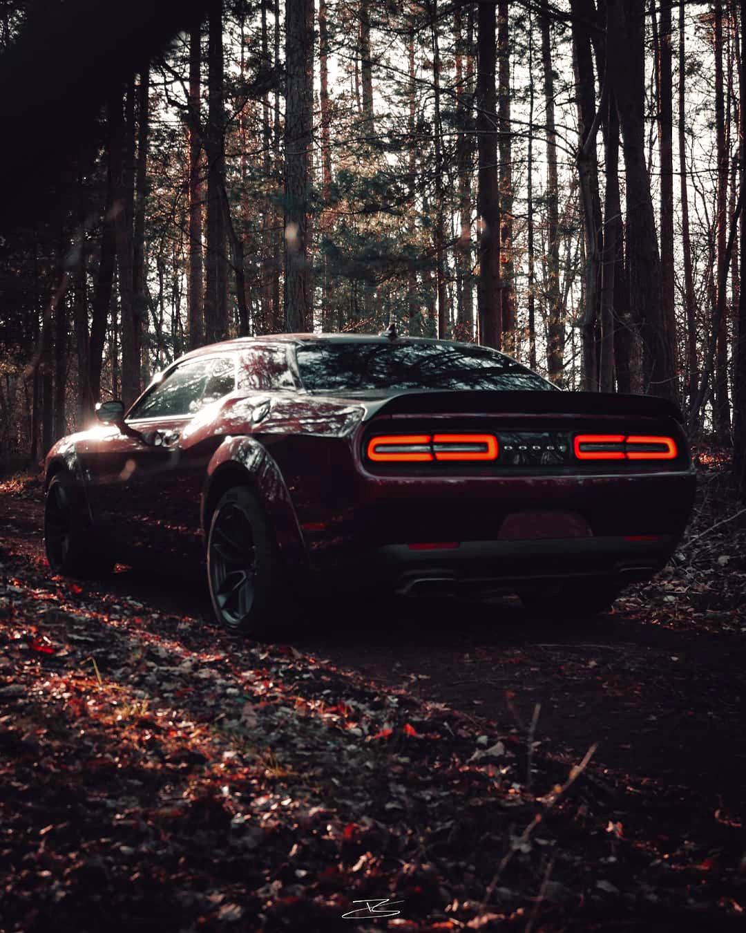 Dodge Challenger Widebody 🌲🍂 | Scrolller