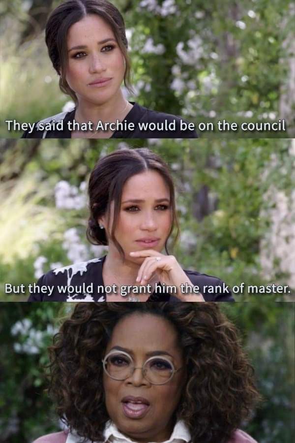 Does Archie hate sand too? | Scrolller