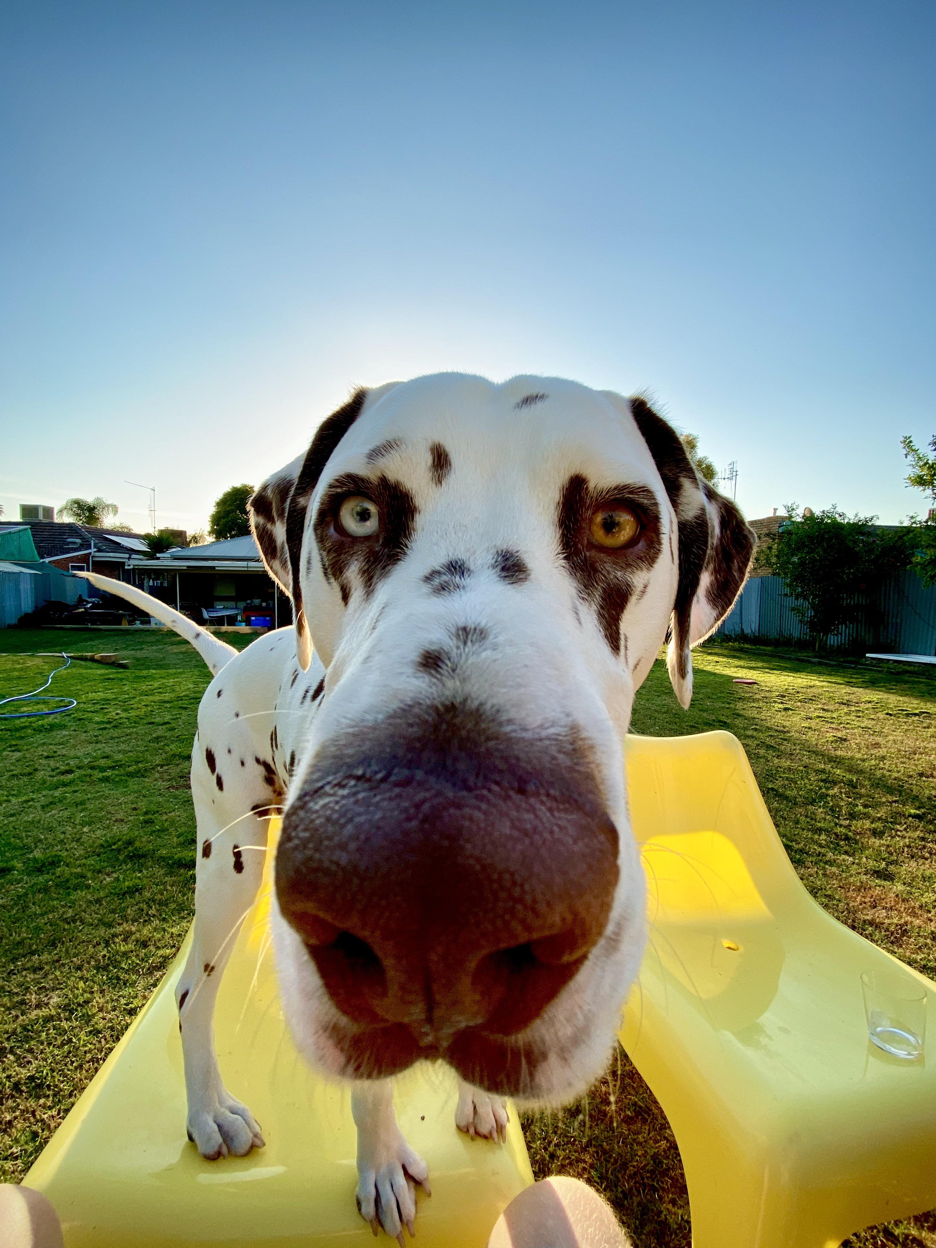 Does my nose look big in this! | Scrolller