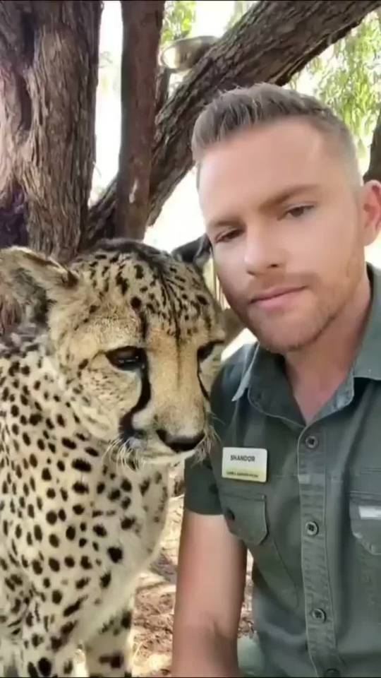 Does this qualify? | Scrolller