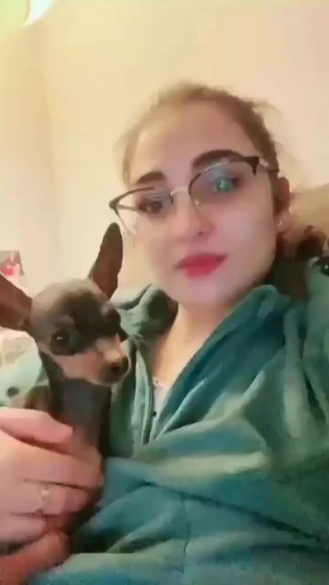 Dog needs to go see a therapist now | Scrolller