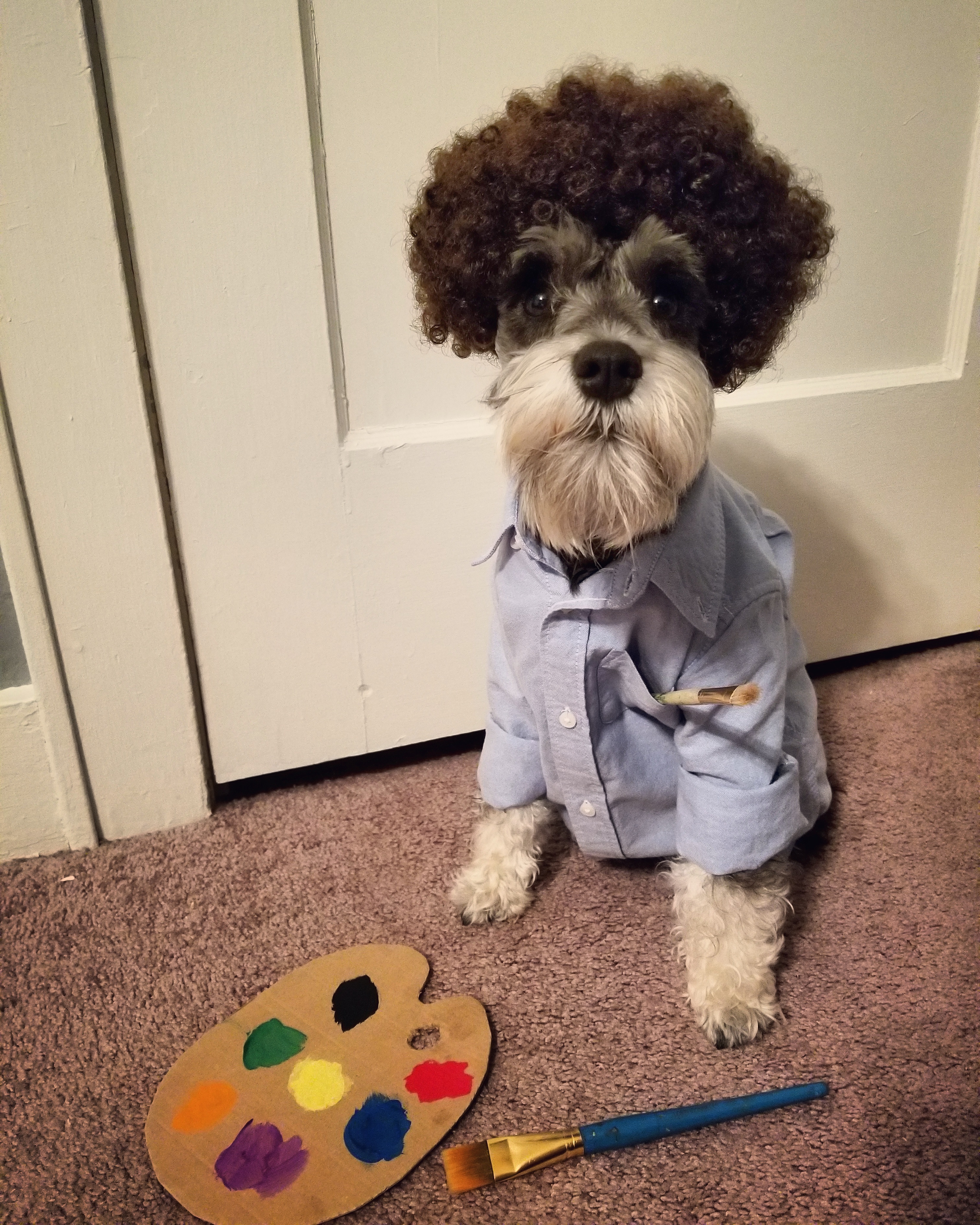 Dog Ross | Scrolller