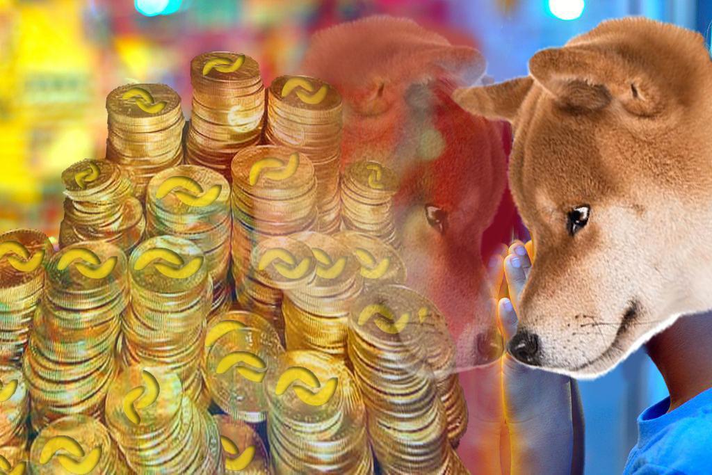 Doge is waiting for airdrop | Scrolller