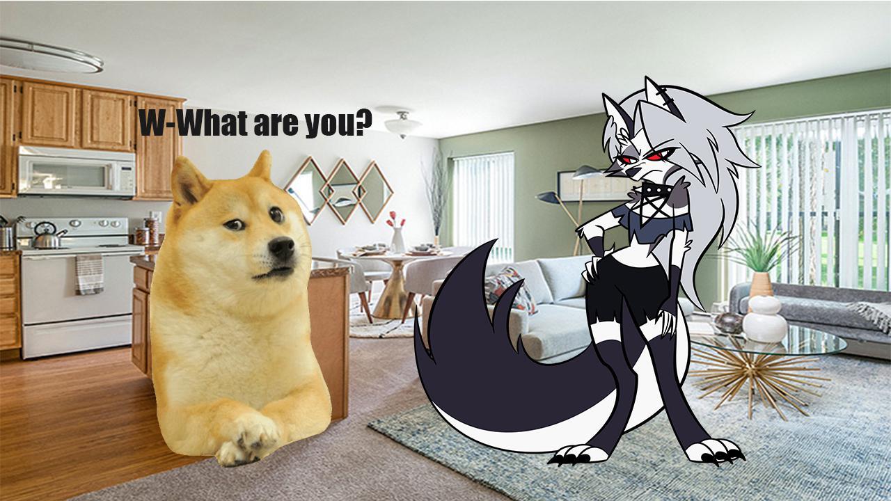 Doge meets Loona | Scrolller