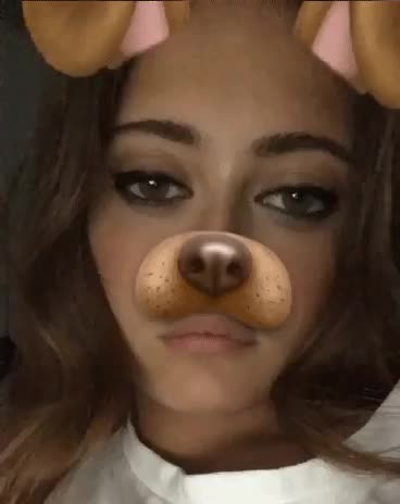 Dogfilter Eye Roll | Scrolller