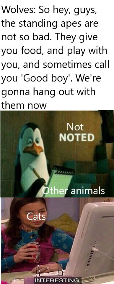 Domesticated rhino would be cool | Scrolller