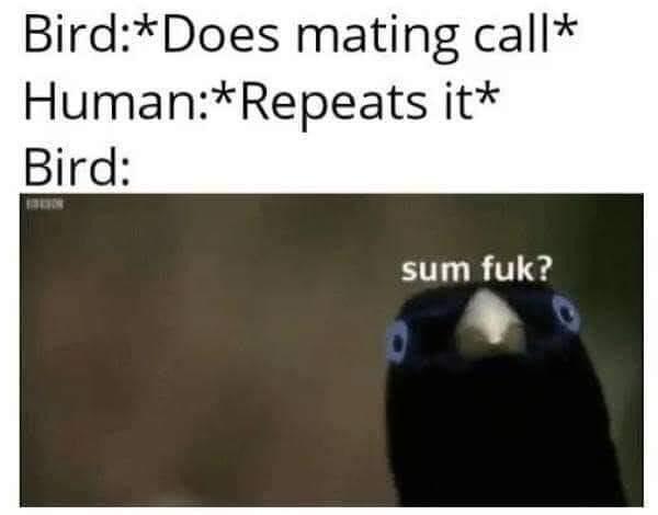 Don’t tease me | Scrolller