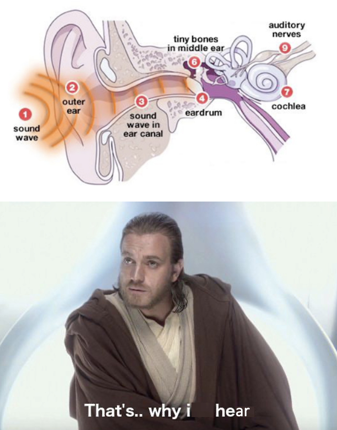 Don't lecture me, Obi Wan | Scrolller