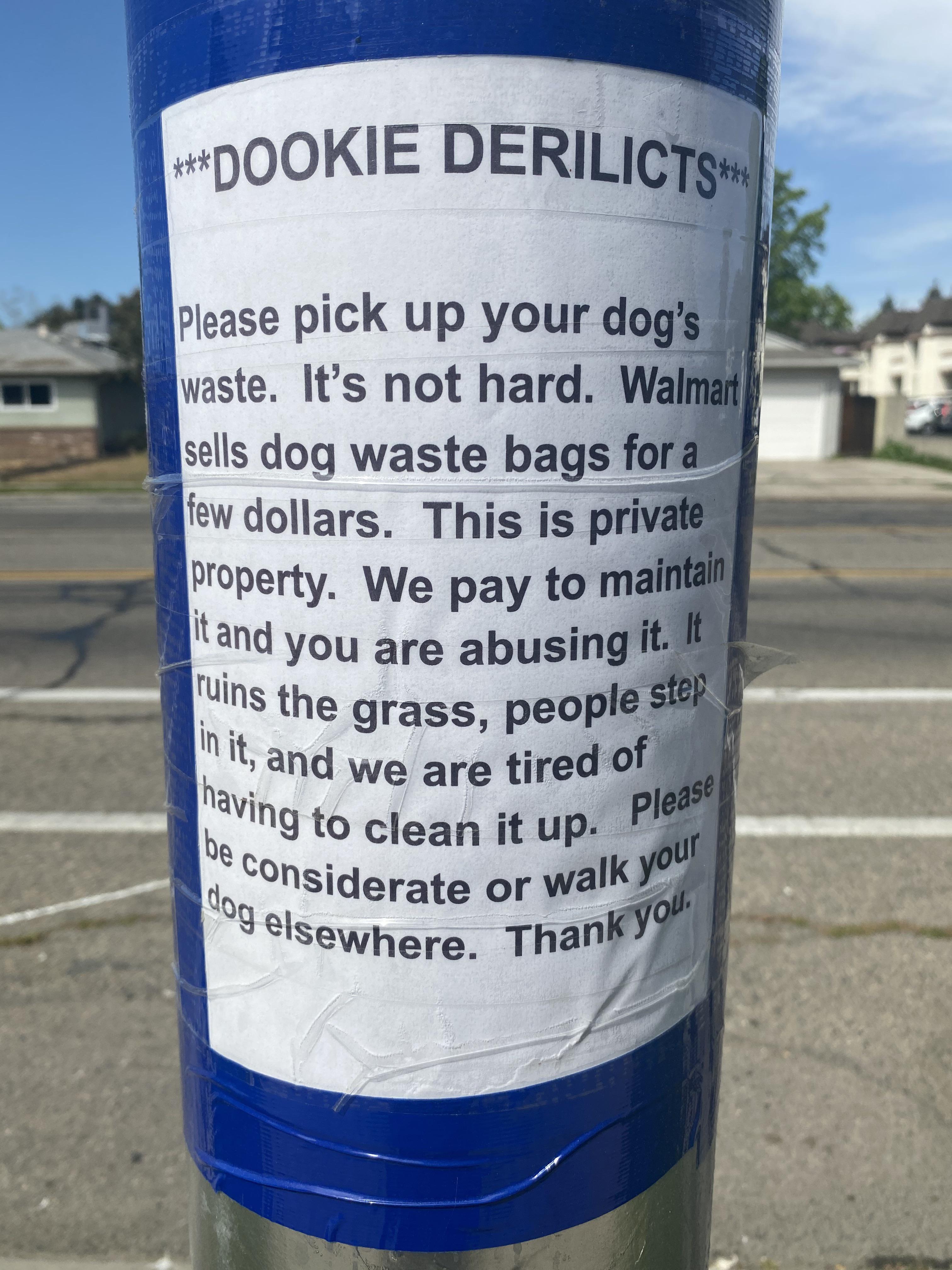 Dookie Derelicts, Ye Be Warned! | Scrolller