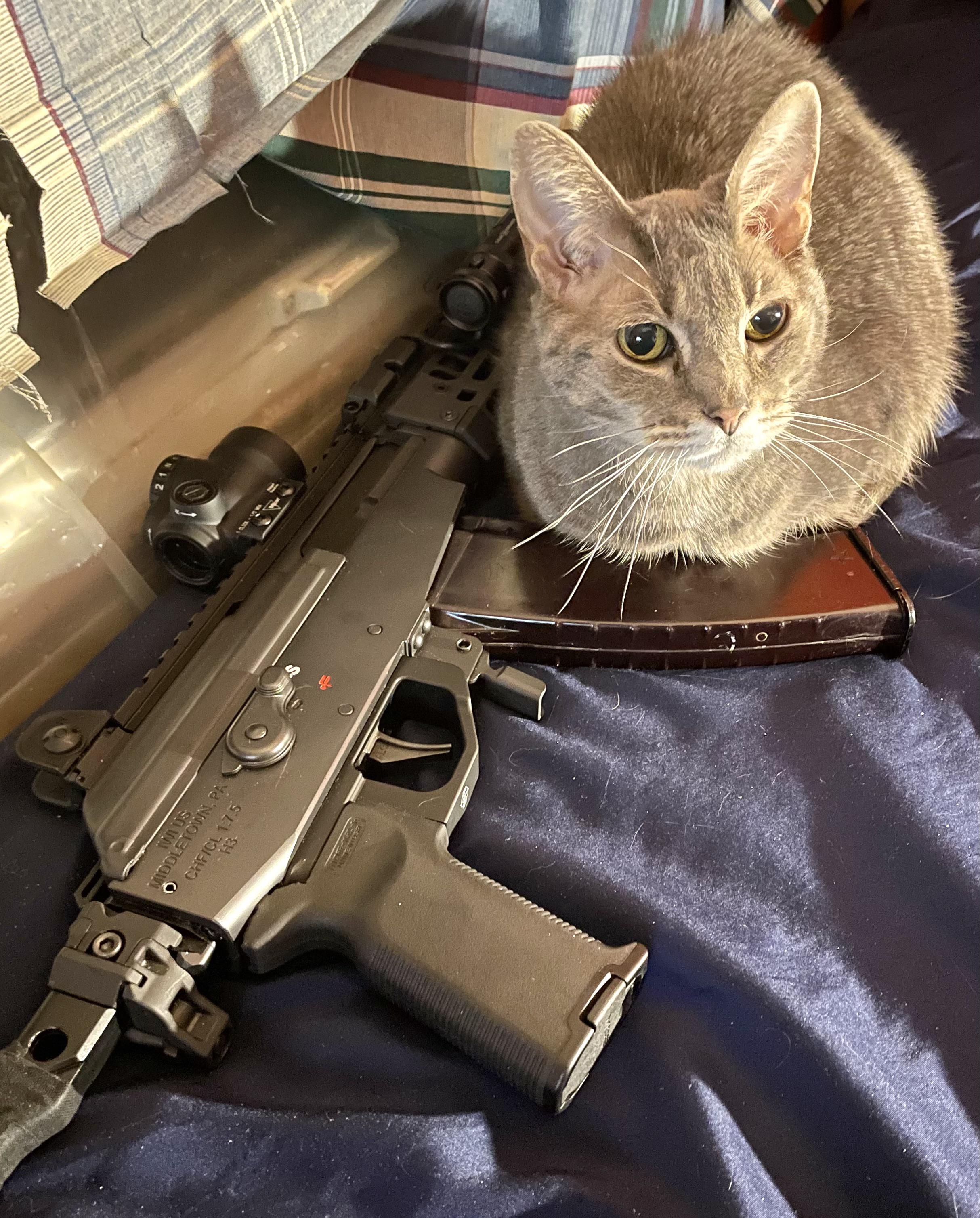 Dora cuddled up with the Galil | Scrolller