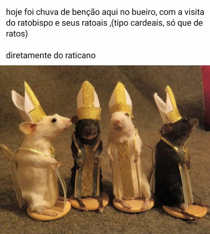 DORIME AMENO | Scrolller