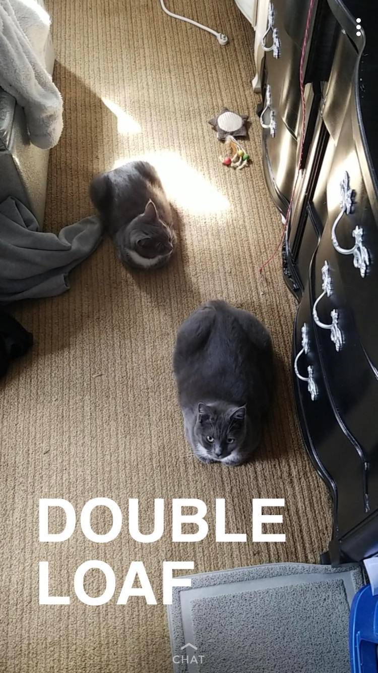 DOUBLE LOAF | Scrolller