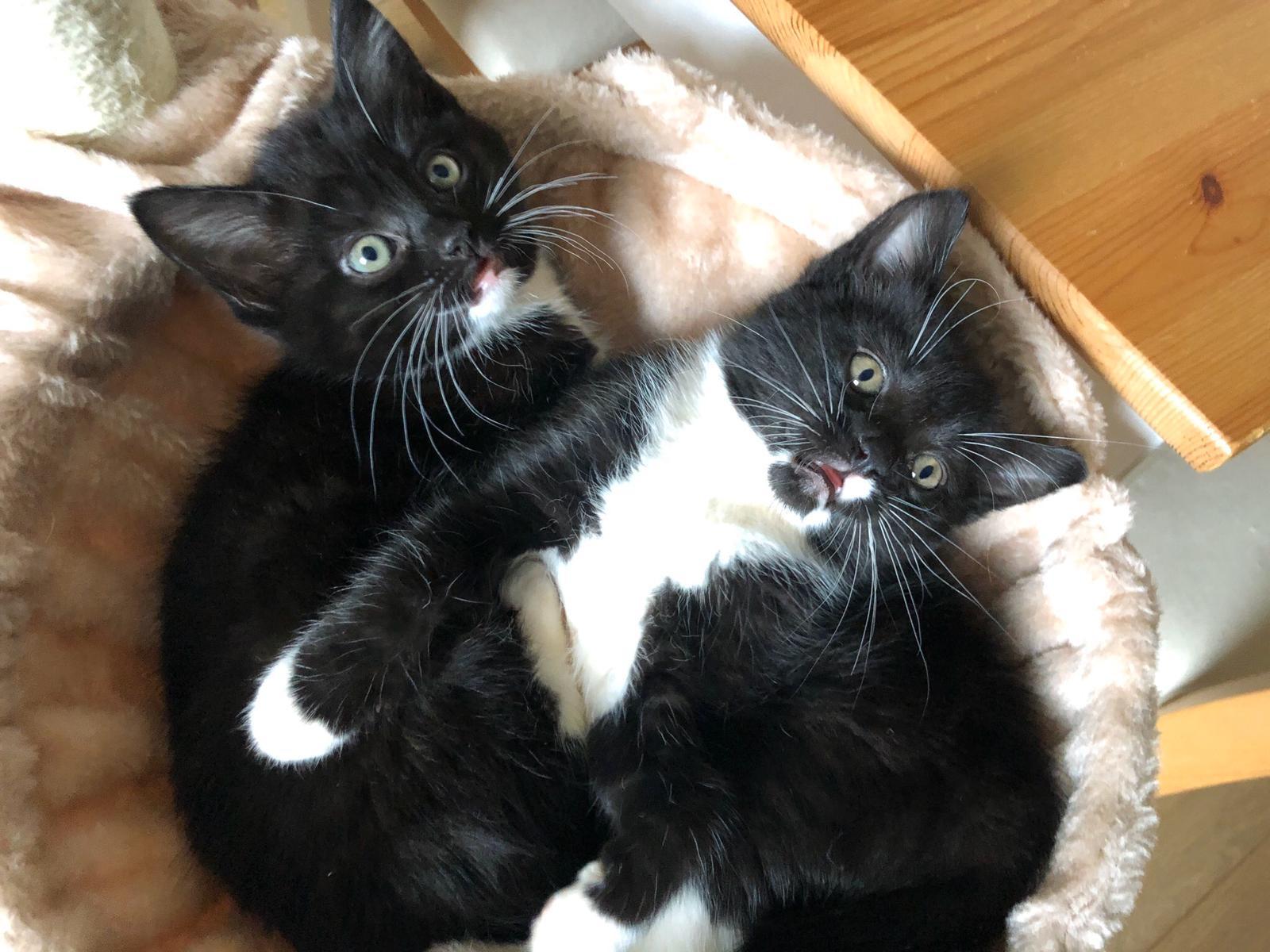 Double the Derps | Scrolller