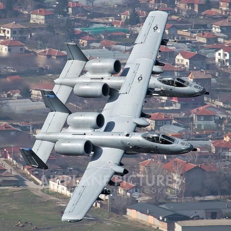 Double warthog | Scrolller