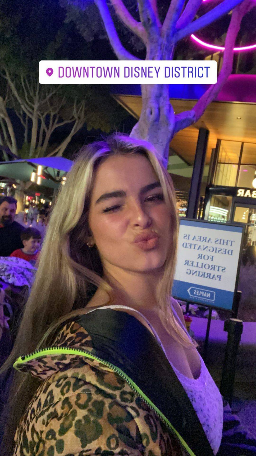 Downtown Disney District | Scrolller