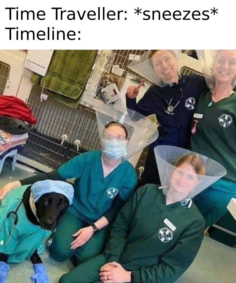 Dr. Doggo | Scrolller