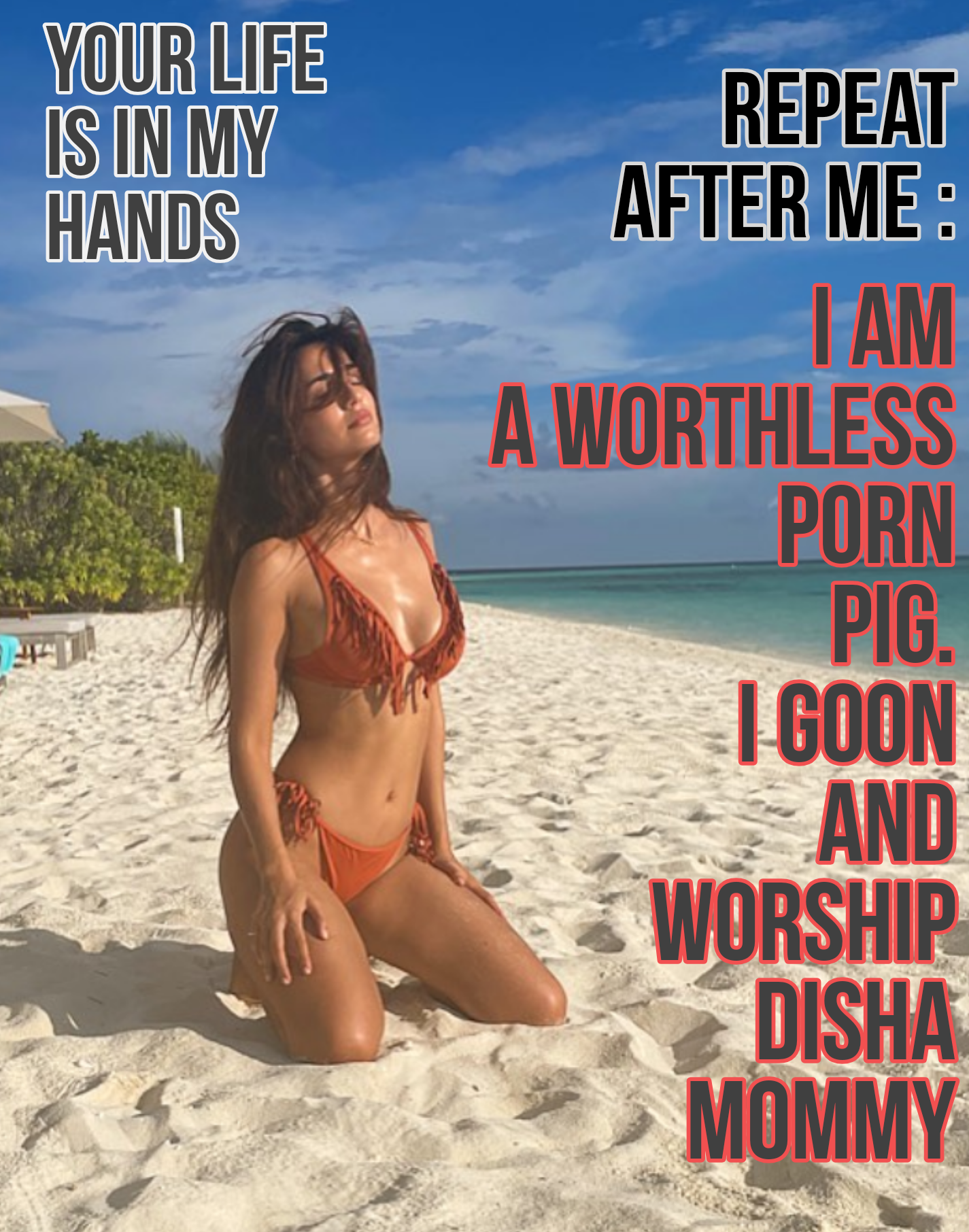 drains your balls for Disha, worthless gooner | Scrolller
