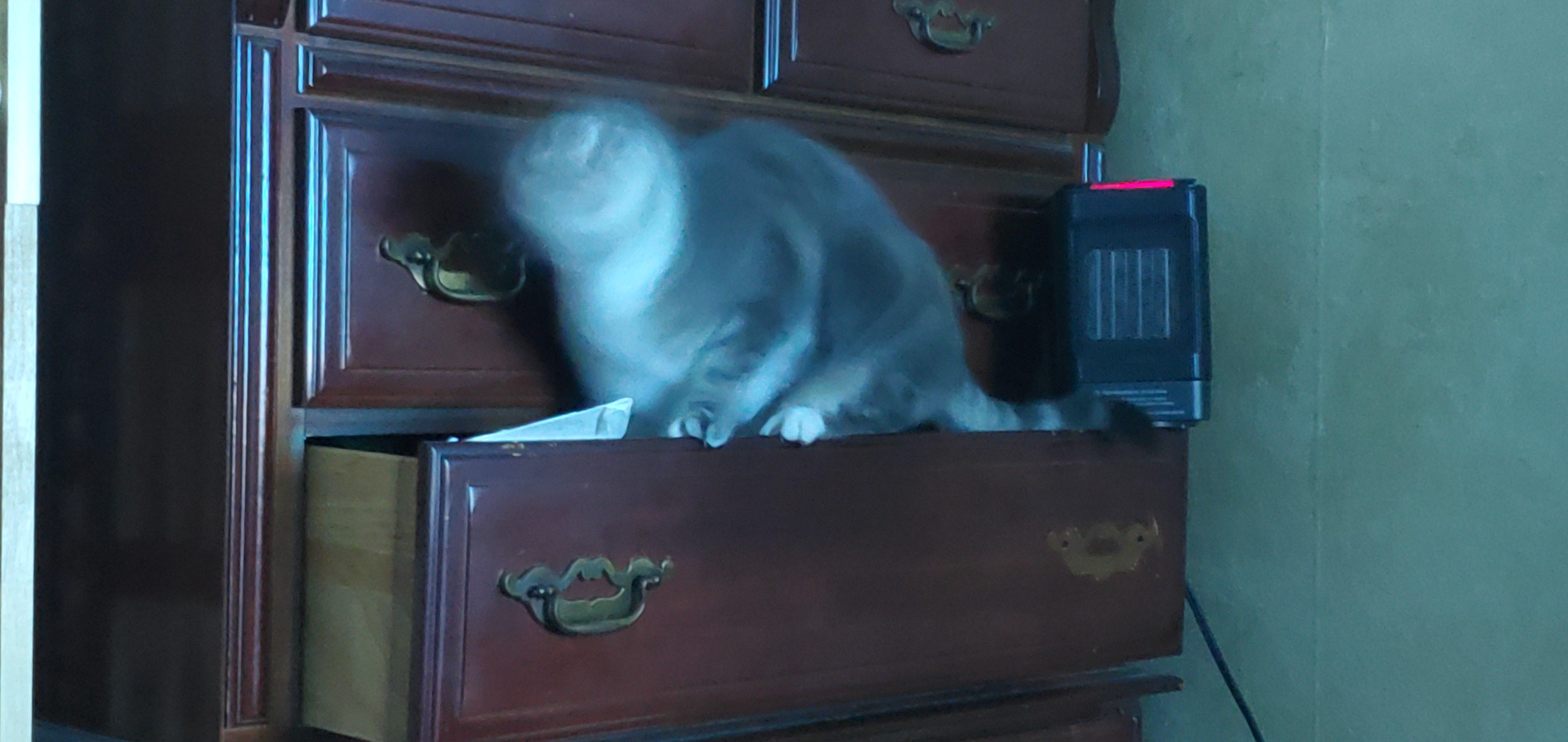 Drilling for a cozy spot | Scrolller