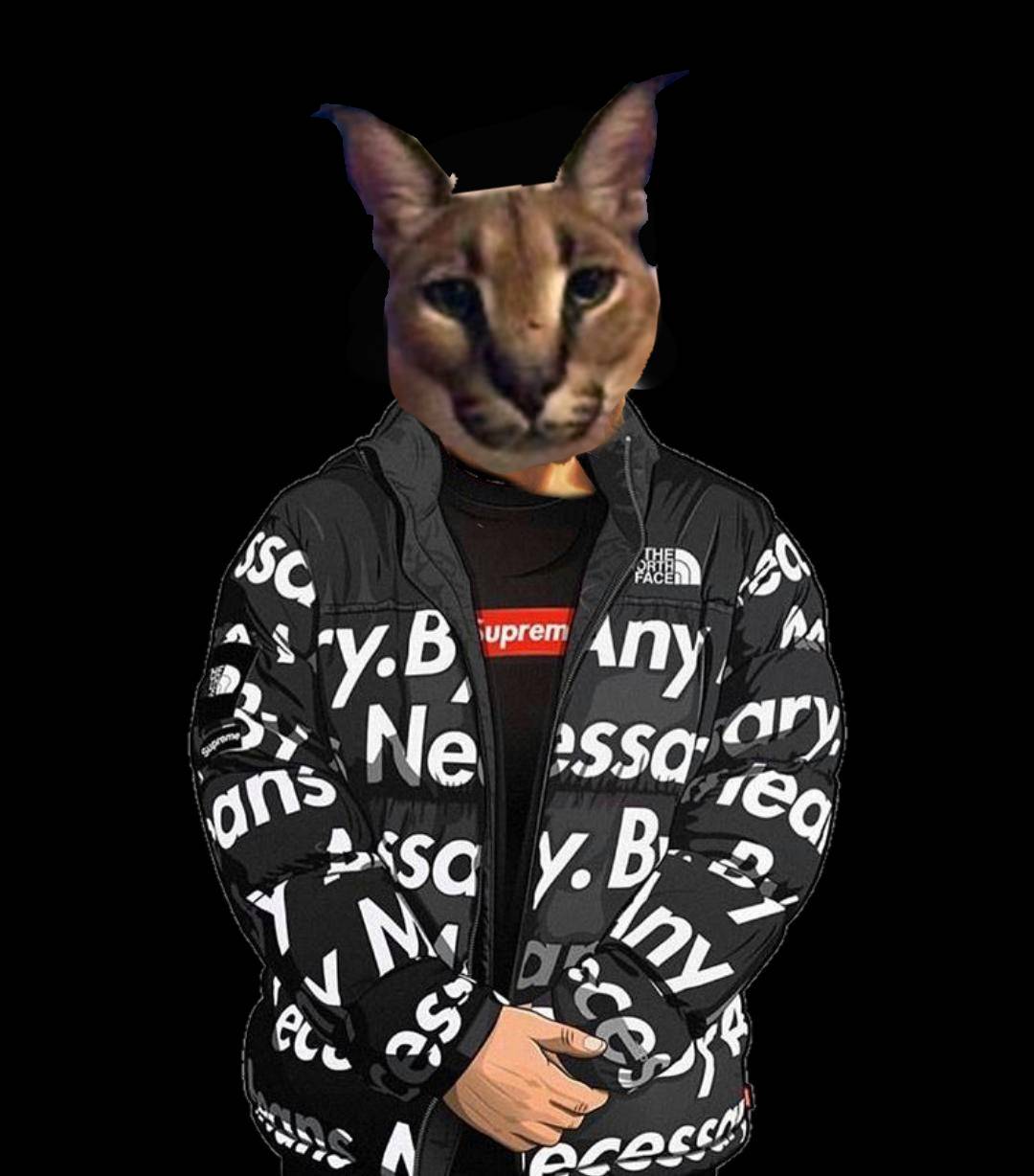 Drip Floppa | Scrolller