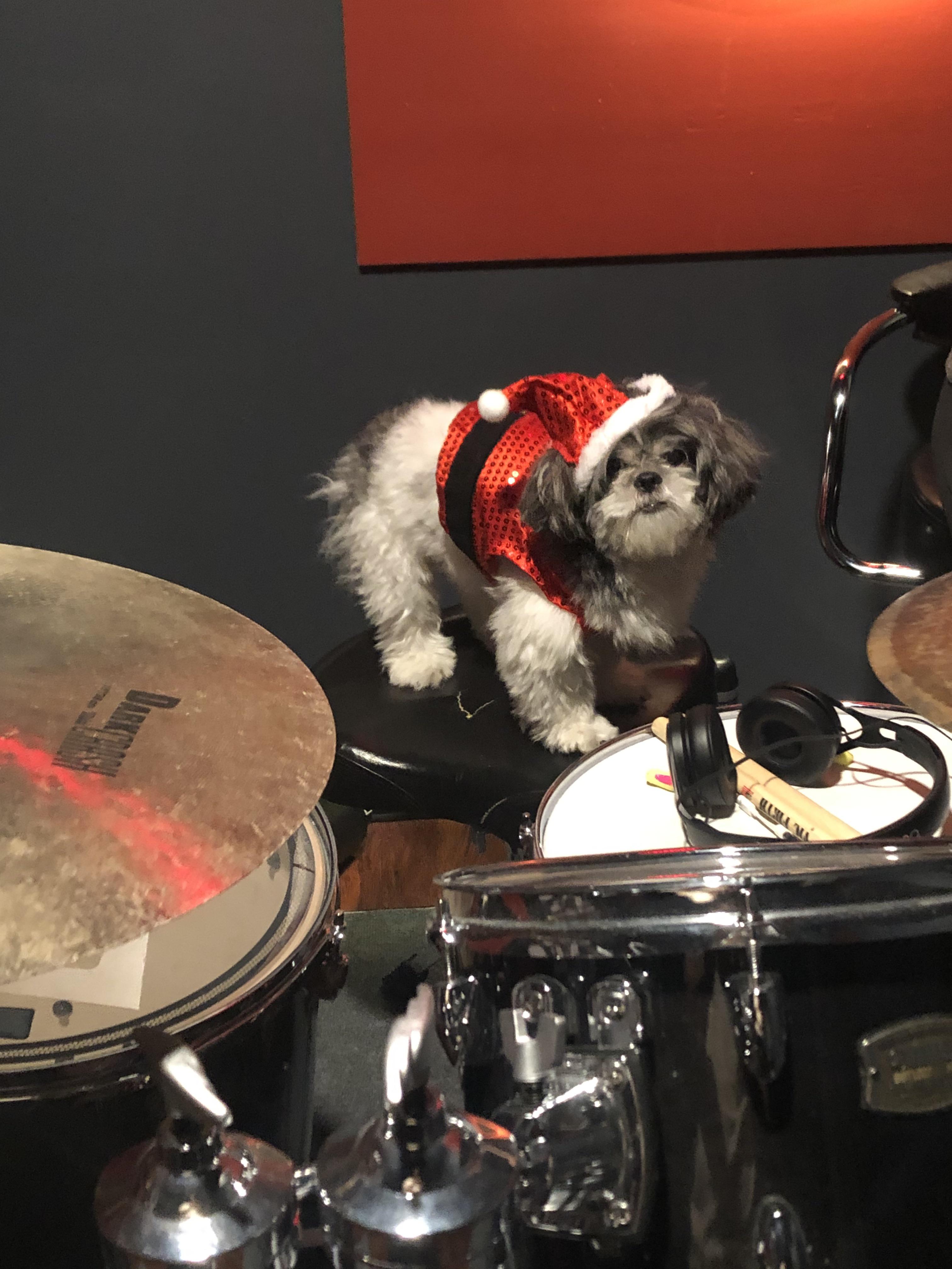 Drummer boy | Scrolller