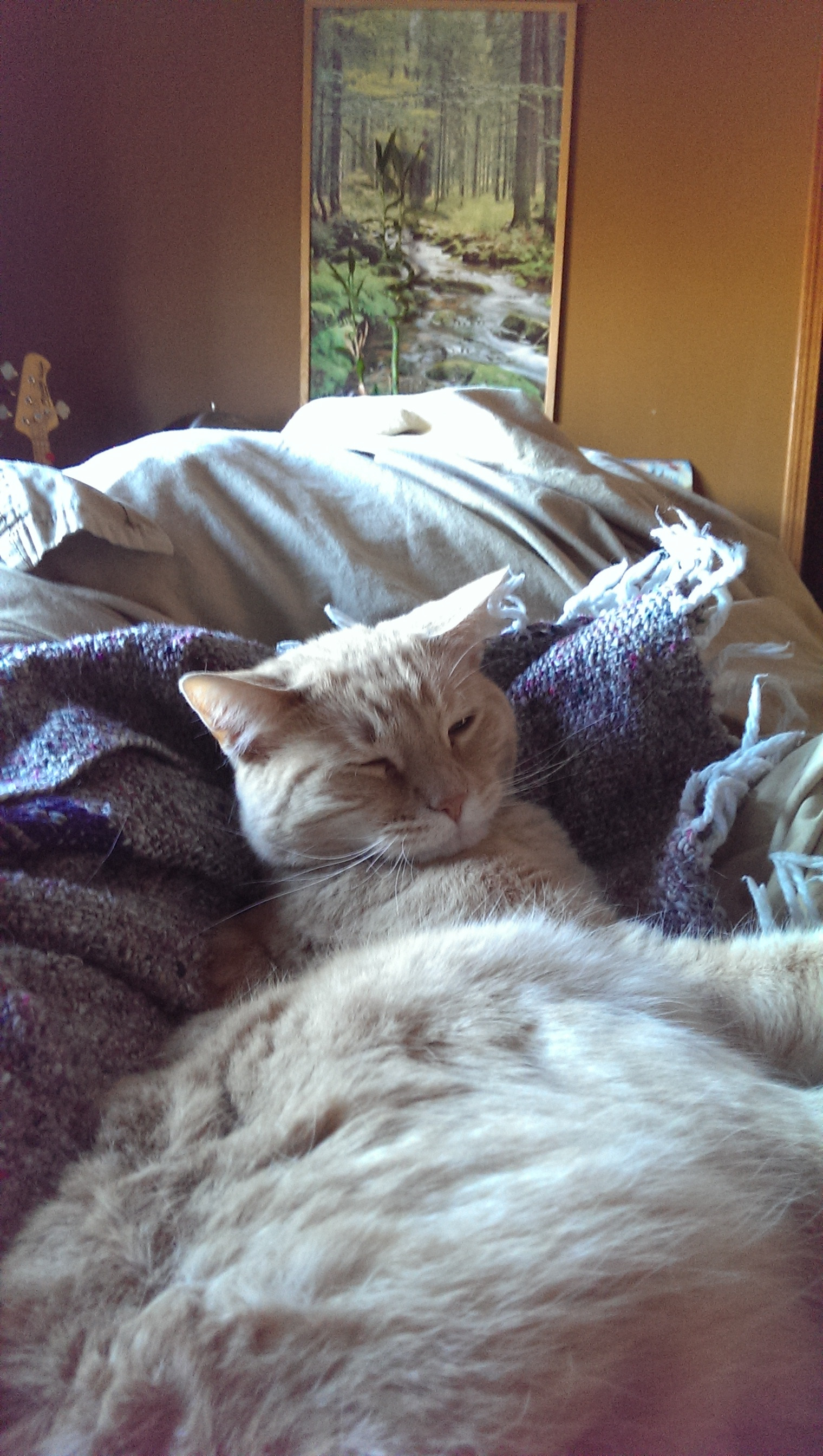 Duder....."[10] | Scrolller