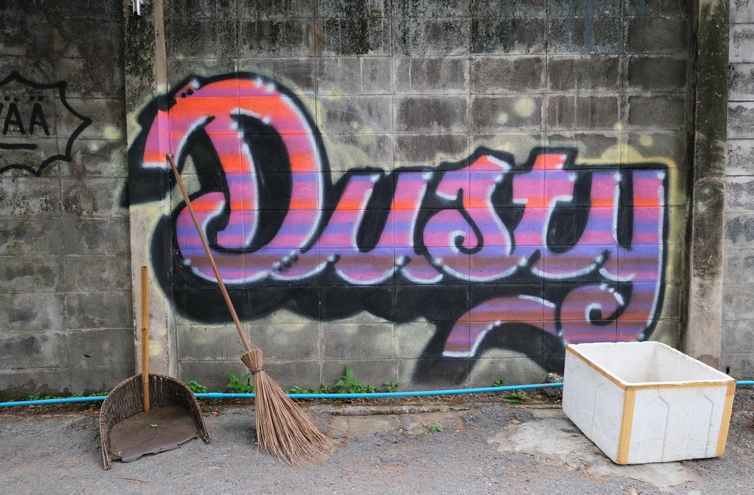 Dusty in Bangkok | Scrolller