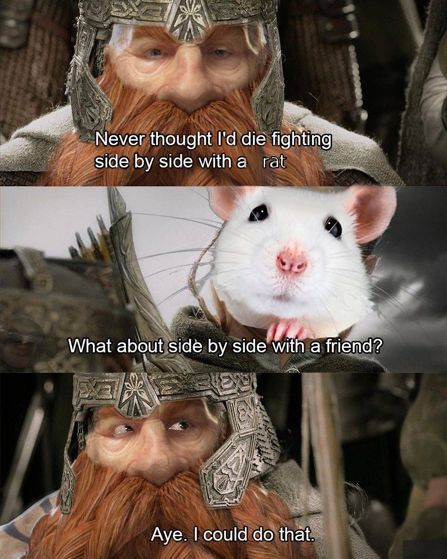 Dwarf x Skaven friendship saga continues | Scrolller