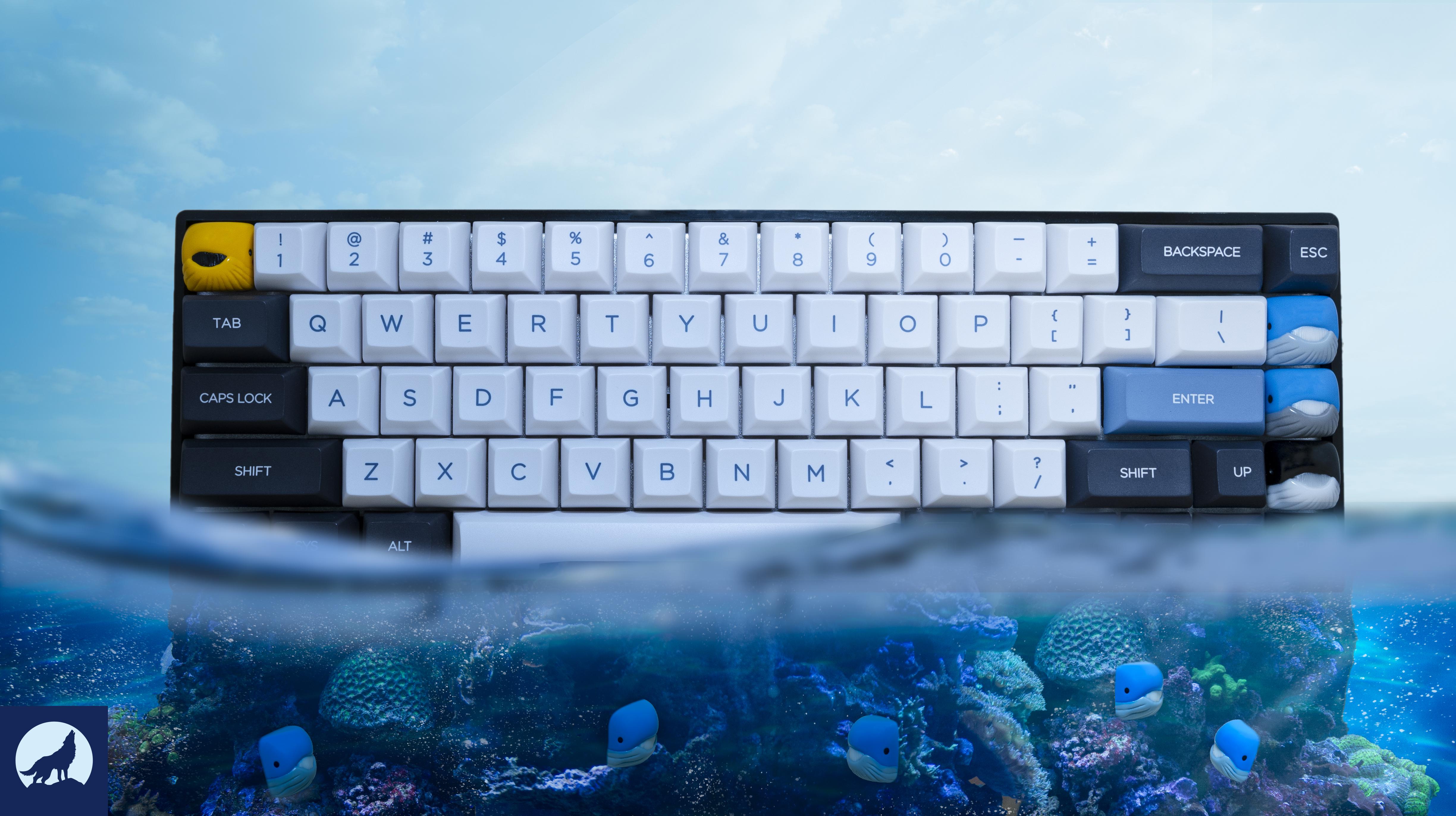 DZ65 with KAT Arctic and Splash 🐳 | Scrolller