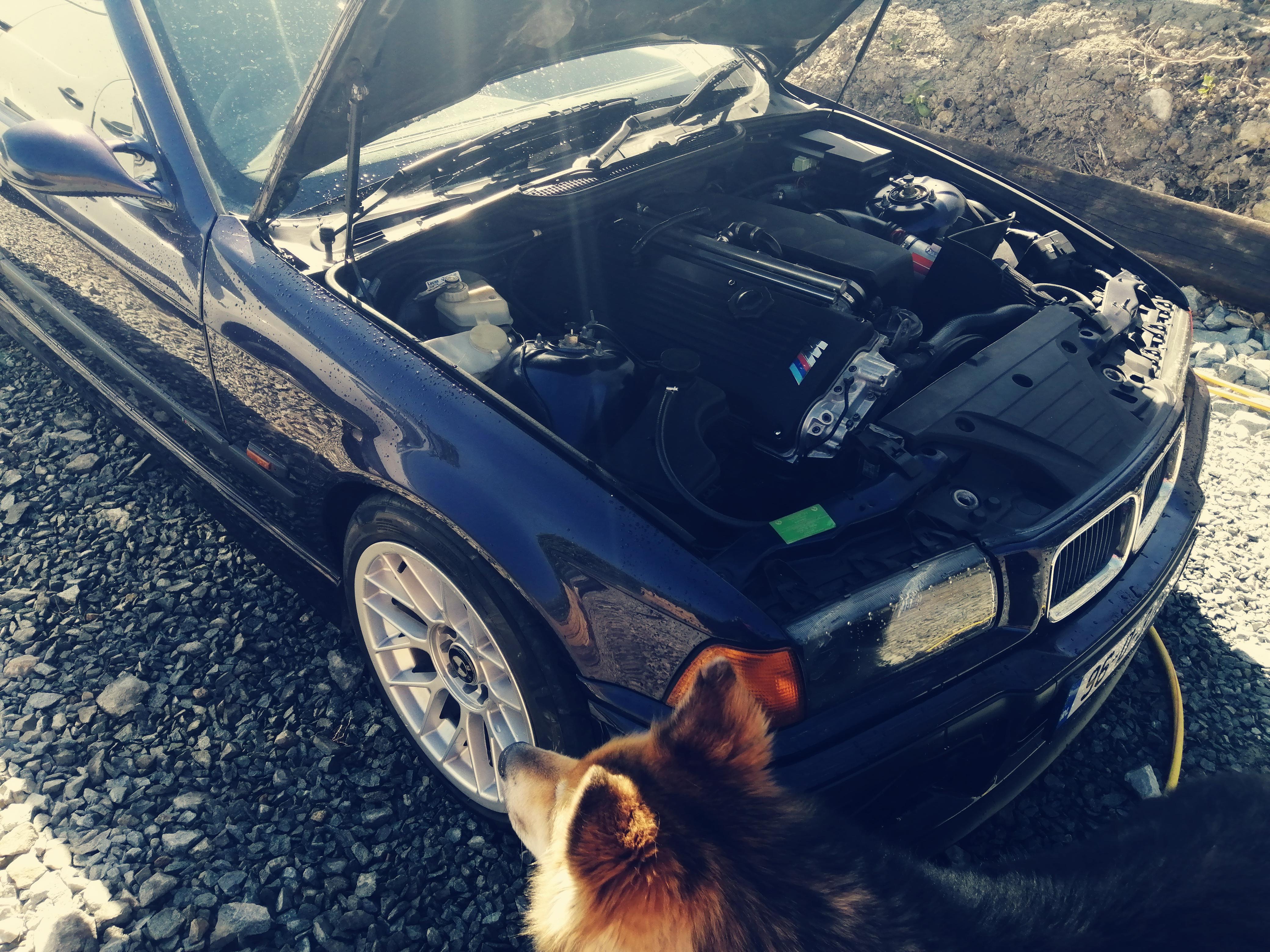 E36 m3 with the s54 in her. Needs some tidying still but she's getting there. Work in progress ...