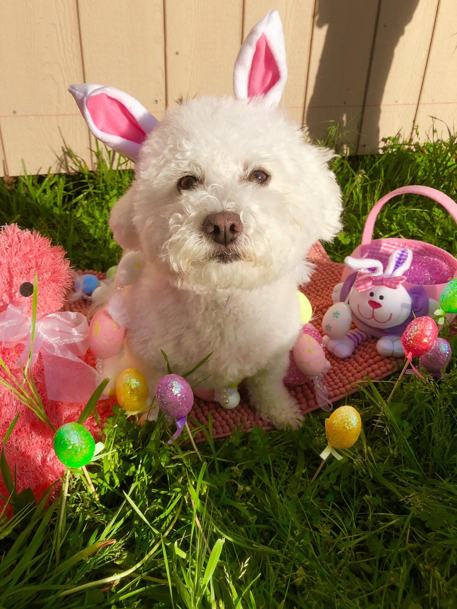 Easter ready 🌸 | Scrolller