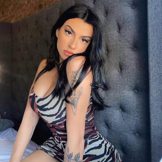 Easy, Tiger | Scrolller