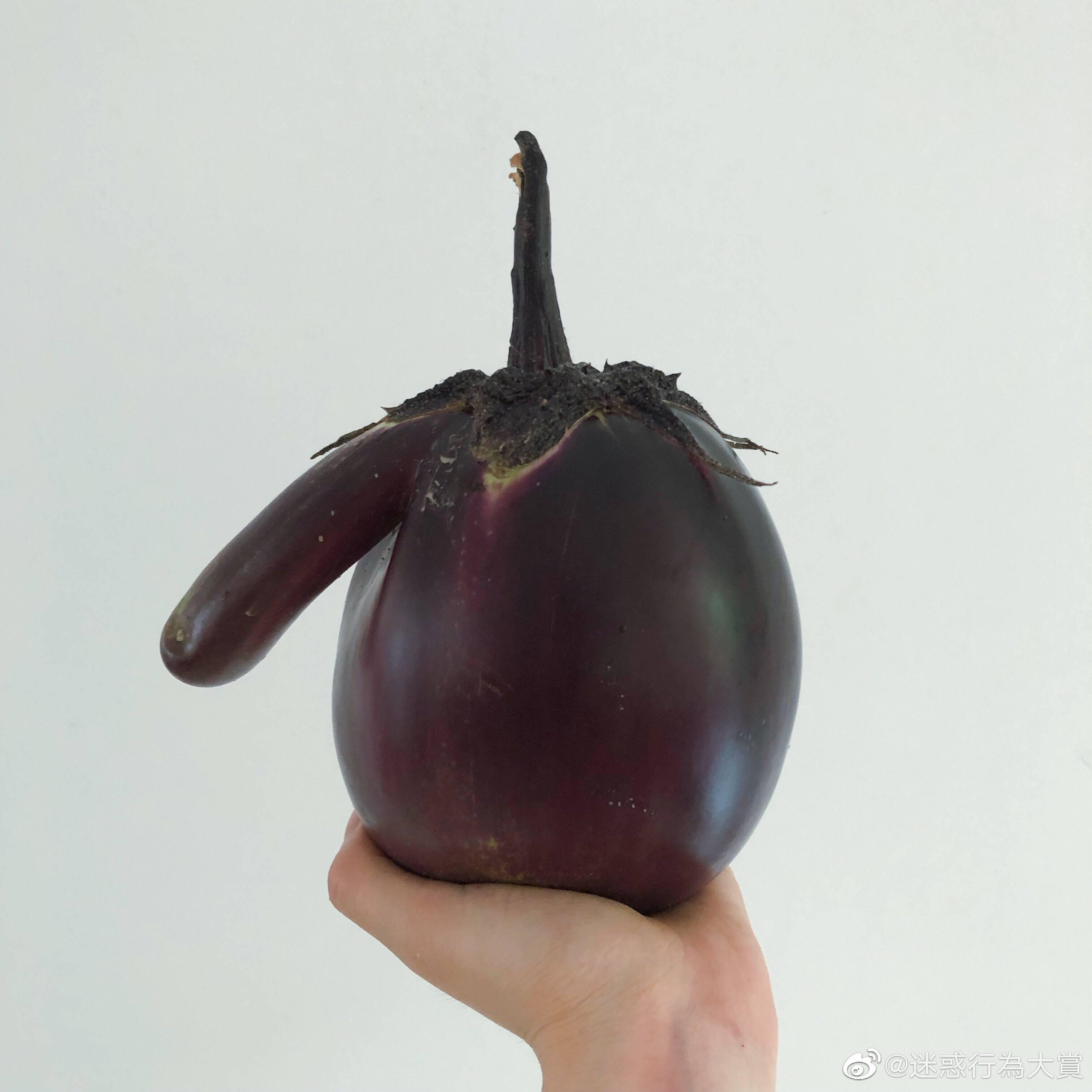 Eggplant | Scrolller