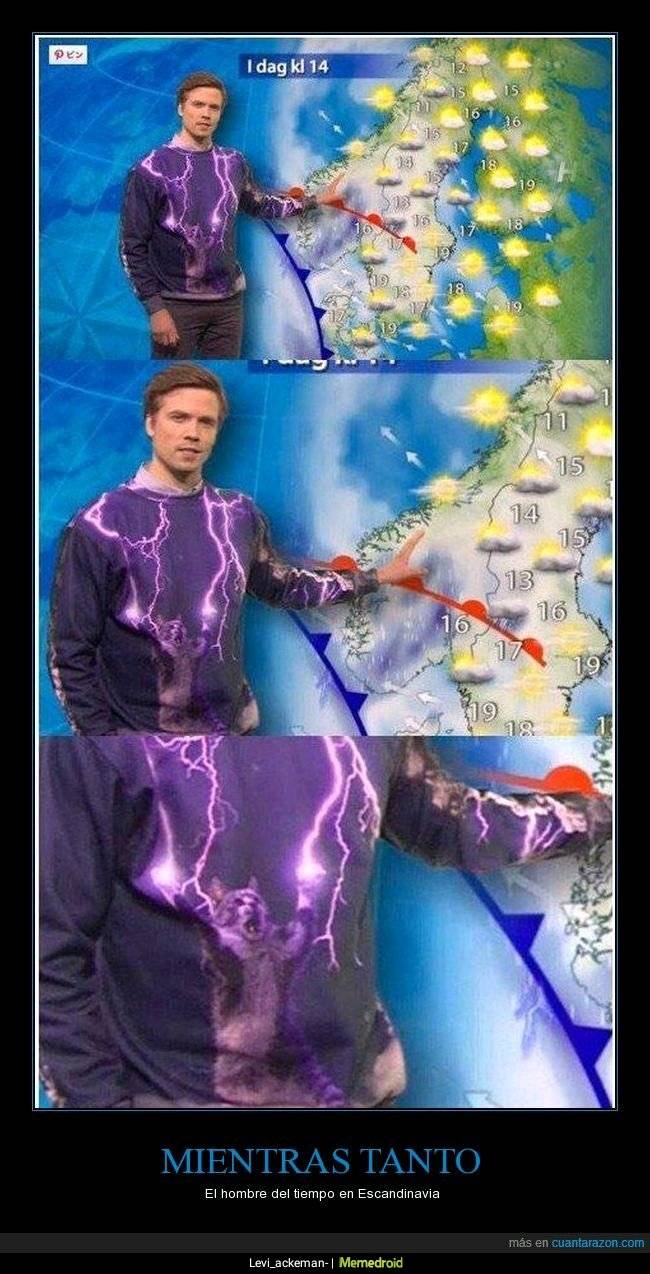 El gato de zeus | Scrolller